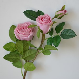 Dusty Pink Roses, Real Touch Roses, Old English Garden Roses, DIY Silk ...