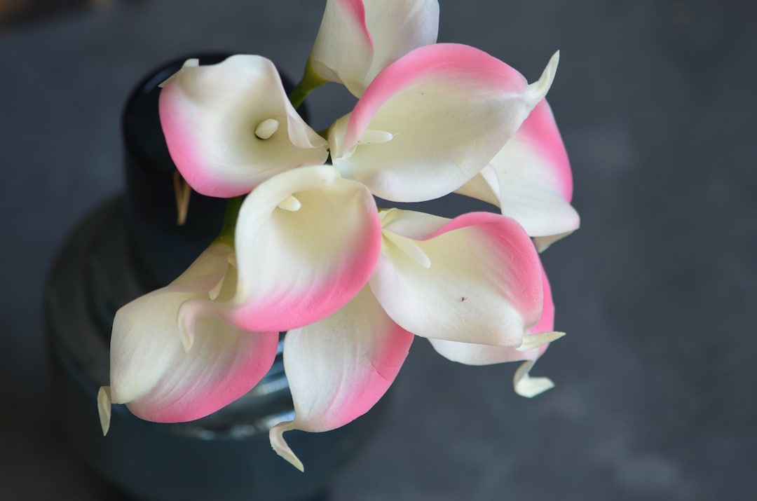 9 Stems Real Touch Cream Pink Calla Lilies, Faux Flowers, Wedding Home ...