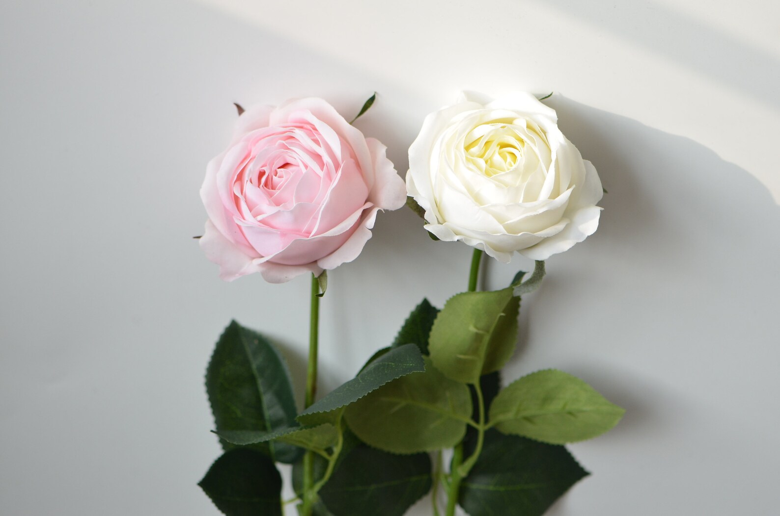 Ivory Pink Cabbage Roses Silk Real Touch Roses DIY Silk - Etsy