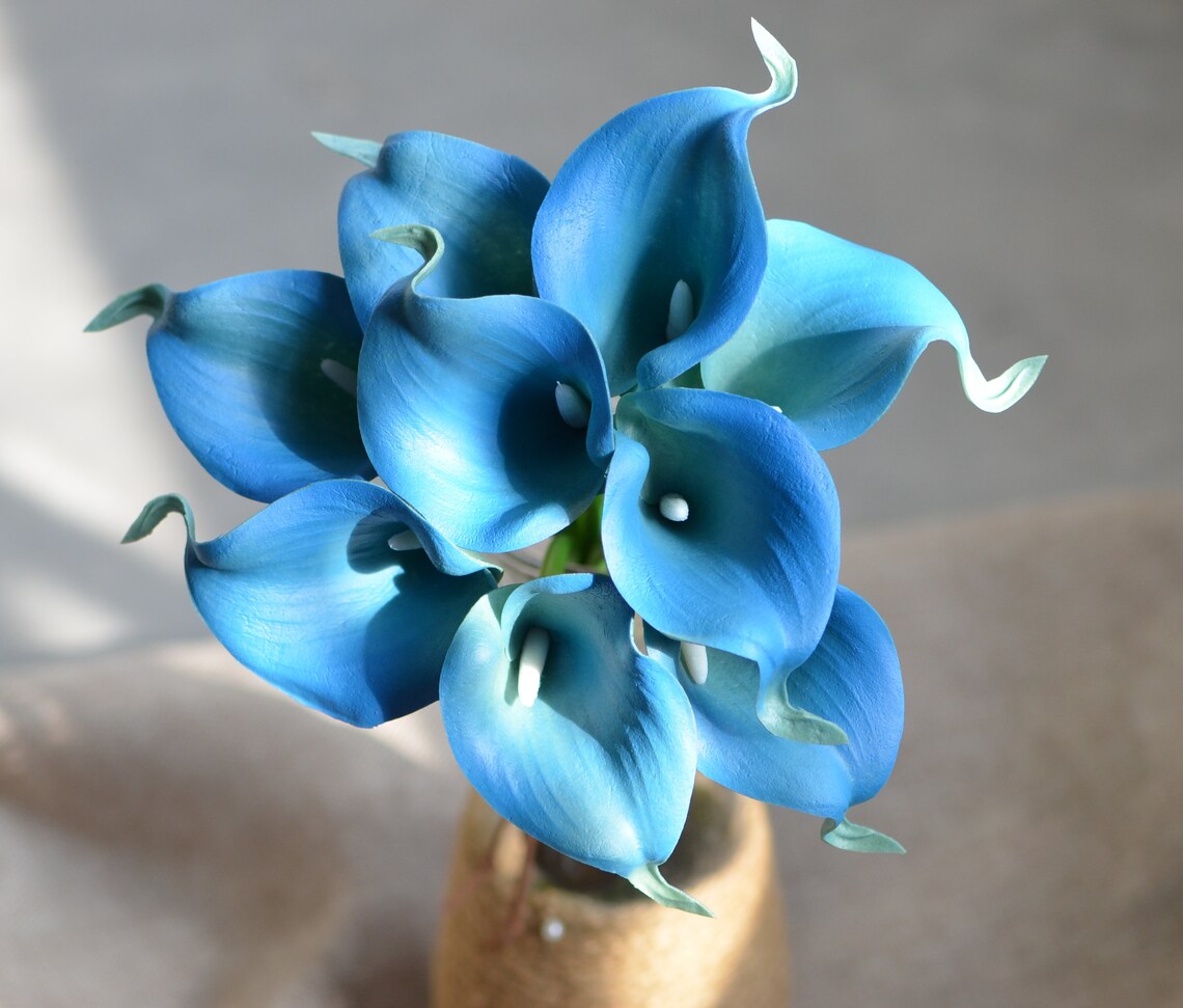 9 Dark Turquoise Blue Calla Lily Blue Real Touch Calla Lilies DIY ...