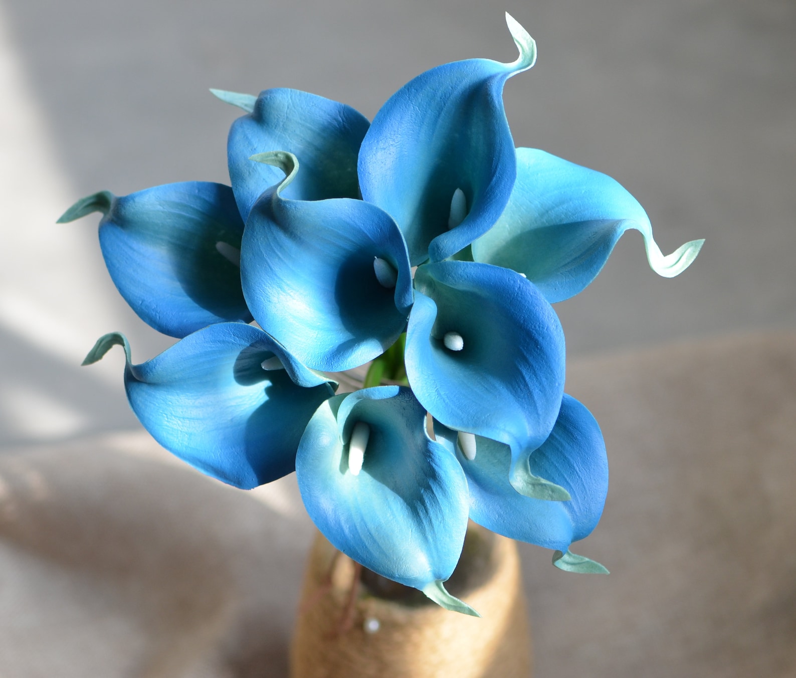 9 Dark Turquoise Blue Calla Lily Blue Real Touch Calla Lilies - Etsy