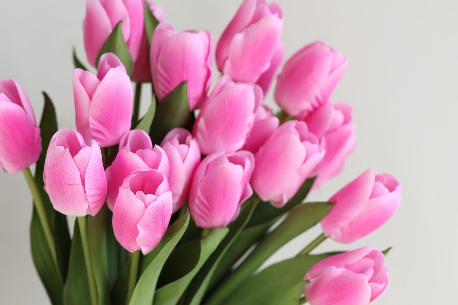Fake Hot Pink Real Touch Tulip - 14", Artificial Spring Flowers, Spring ...