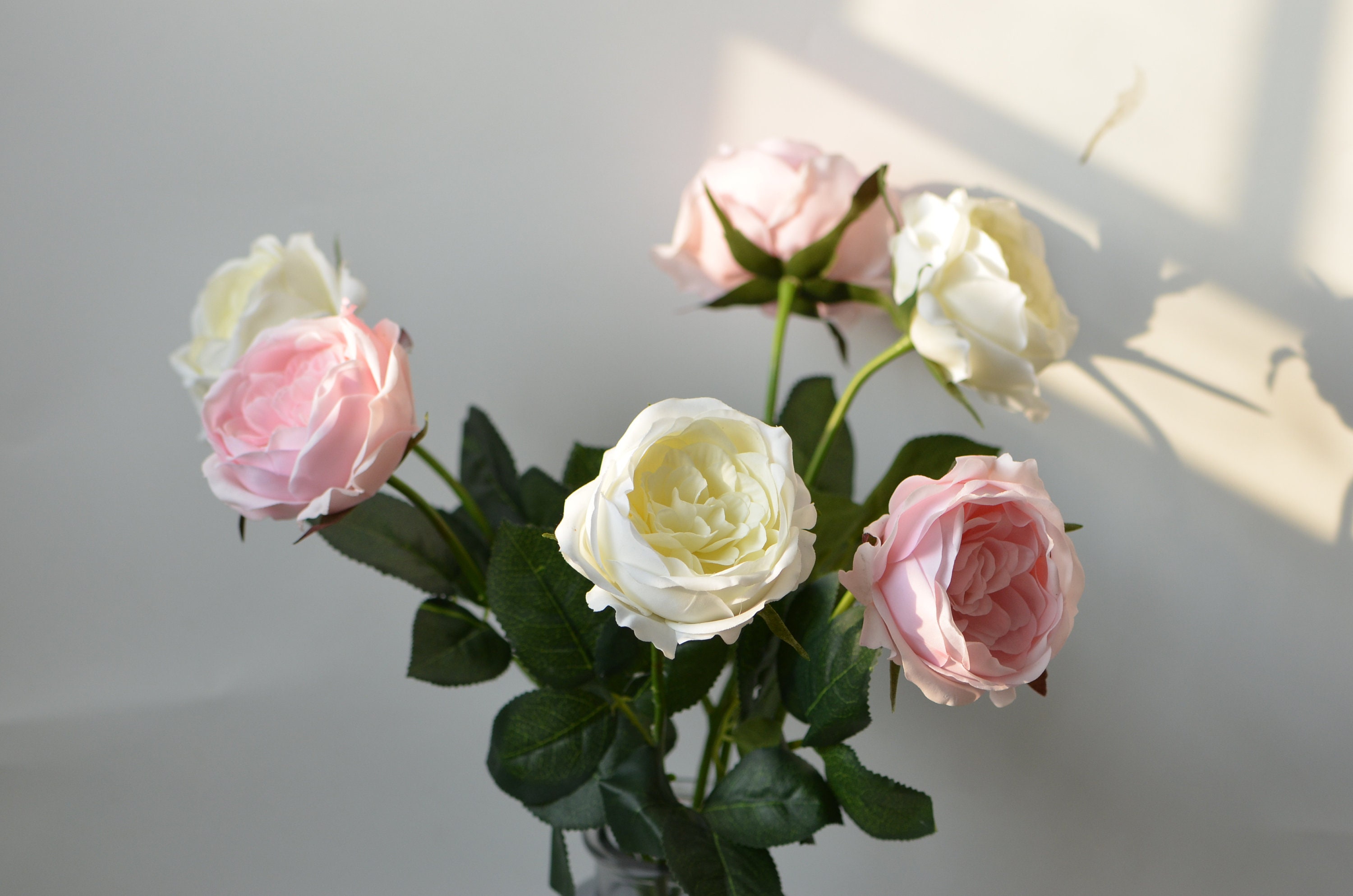 Ivory Pink Cabbage Roses Real Touch Roses DIY Silk Bridal - Etsy