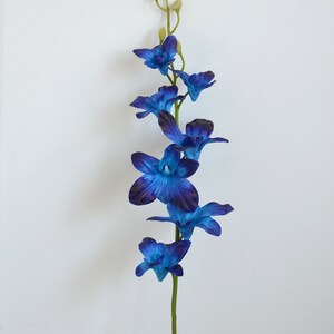 Dark Turquoise Purple Orchids Real Touch Thailand Orchids DIY ...