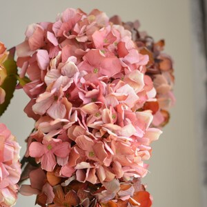 24.5" Fall Vintage Dried Look Hydrangeas-dusty Pink, Orange, Brown ...