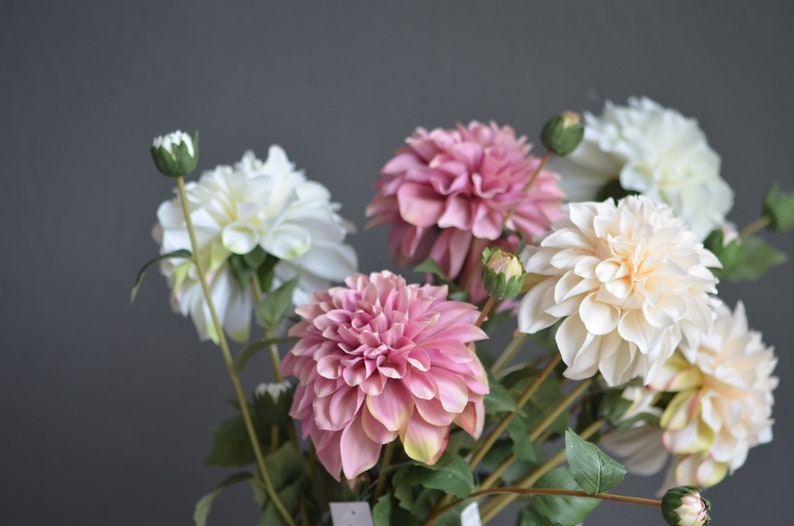 Dust Pink Ivory Faux Dahlia White Dahlia Flowers Gradient - Etsy