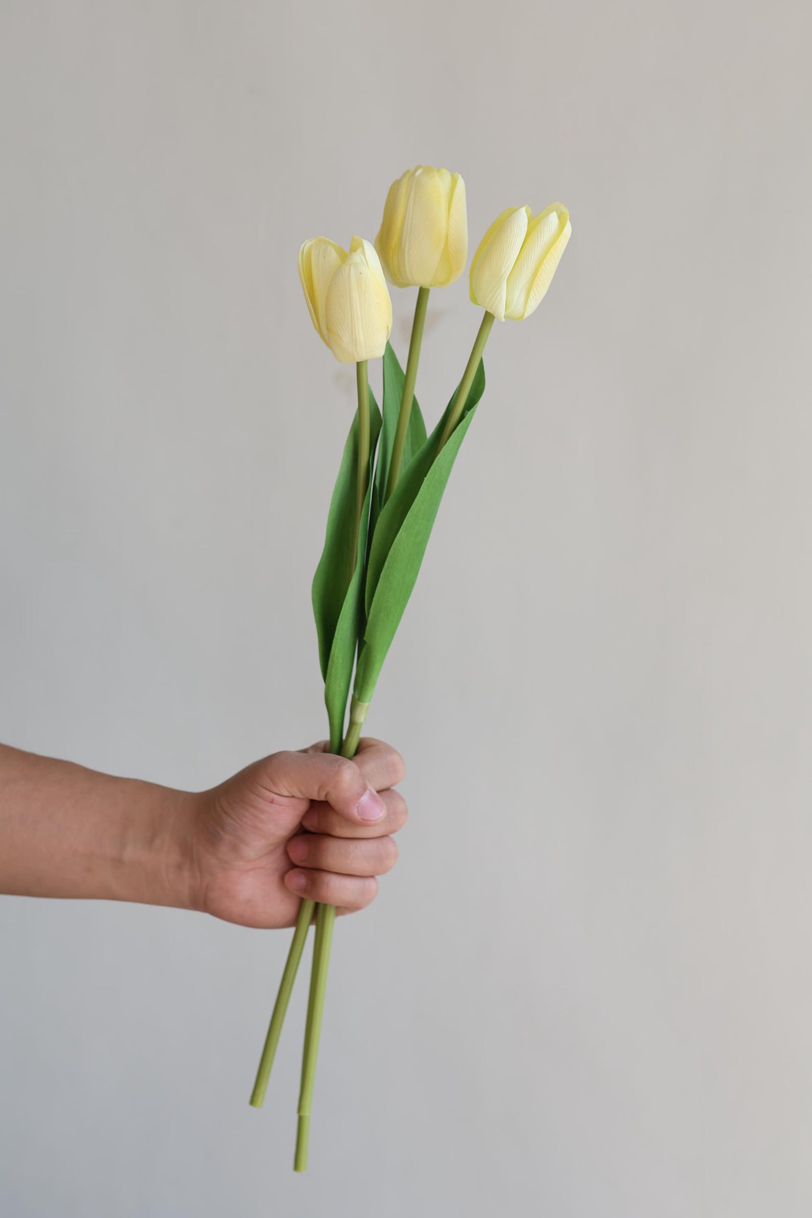 Real Touch Pastel Yellow Tulips: Faux Spring Floral (18.8"), Artificial ...