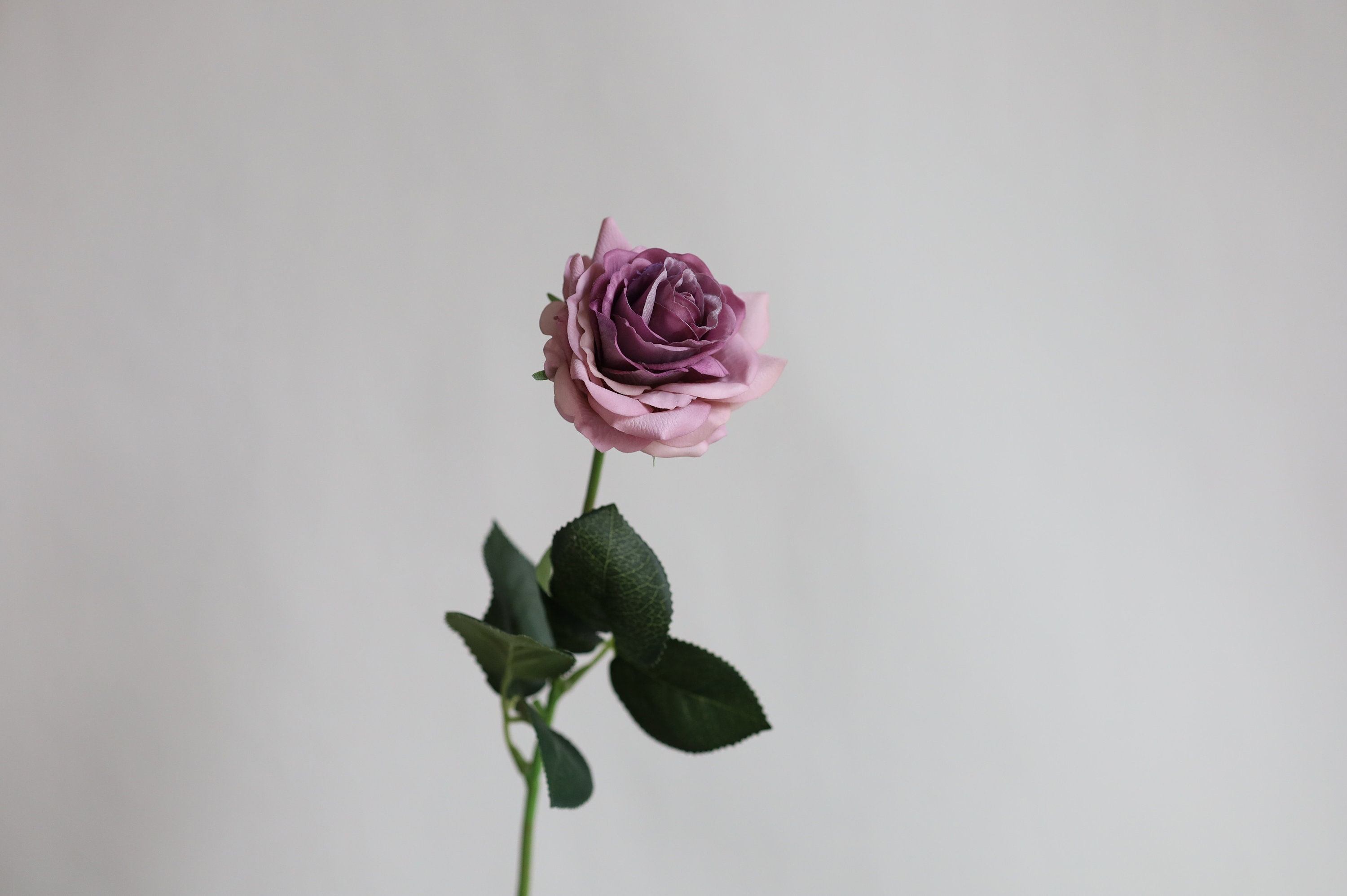 17" Faux Real Touch Roses-smoky Mauve, Artificial Rose Stem DIY Florals ...