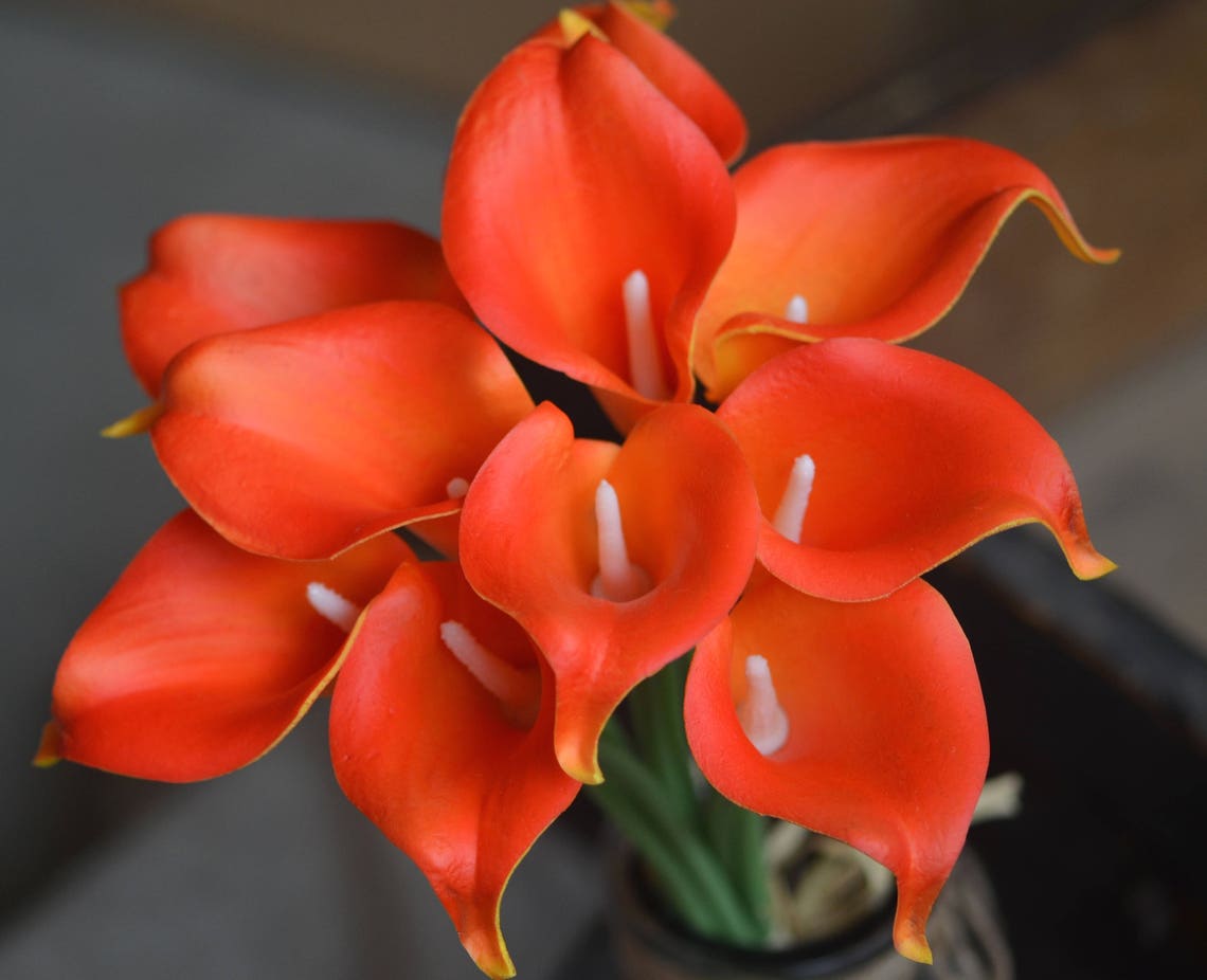 10 Dark Orange Calla Lilies Real Touch Flowers DIY Silk | Etsy