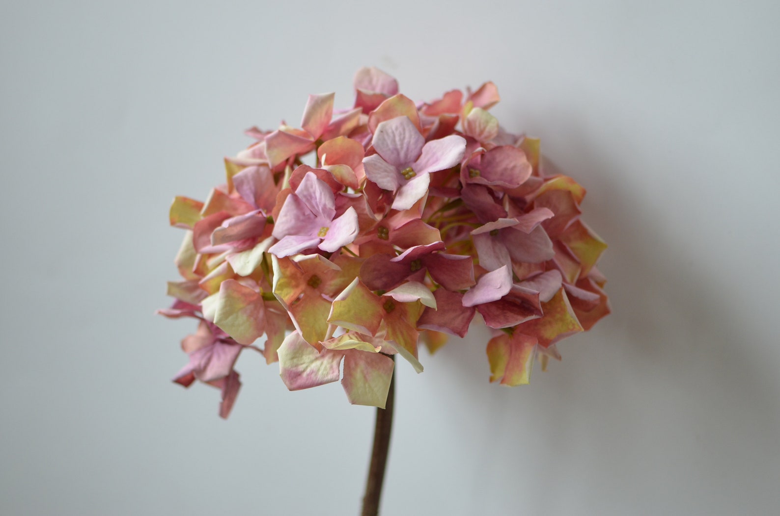 Silk Dried Hydrangeas Artificial Hydrangeas Vintage | Etsy