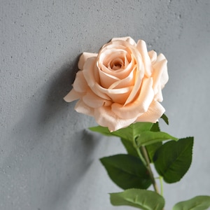 Morandi Pink Roses, Vintage Tan Beige Garden Roses, Real Touch Roses ...