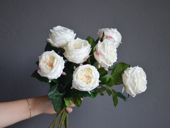 Ivory Austin Roses Real Touch Artificial Roses Cream White - Etsy