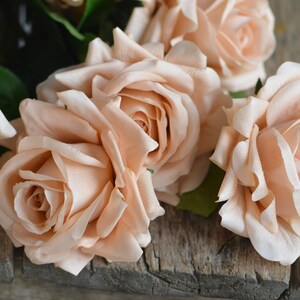 Morandi Pink Roses, Vintage Tan Beige Garden Roses, Real Touch Roses ...