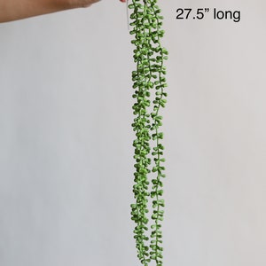 Artificial Hanging Plants Deco, Fake String of Pearls Succulent ...