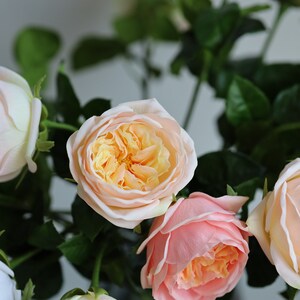 18.9” Faux Real Touch English Cabbage Roses-white/champagne/pink ...