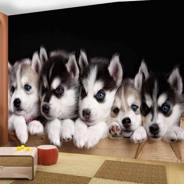 Dog Wall Mural - Etsy