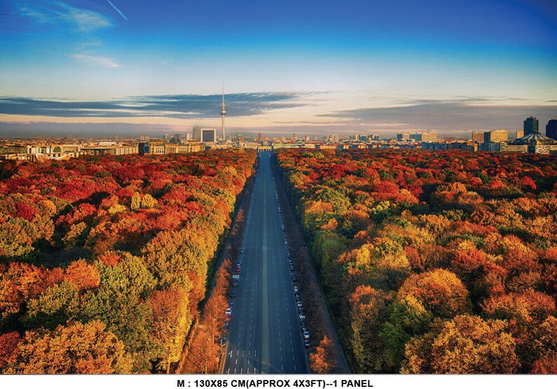Tree Road Path Nature Park Way Autumn Wallpaper Mural Photo - Etsy
