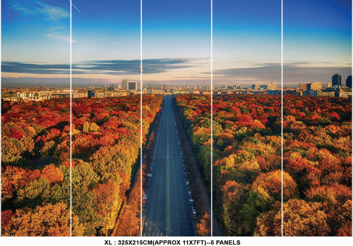 Tree Road Path Nature Park Way Autumn Wallpaper Mural Photo - Etsy