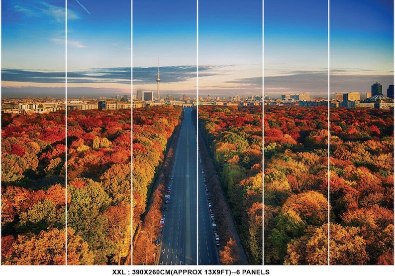 Tree Road Path Nature Park Way Autumn Wallpaper Mural Photo Poster Wall ...