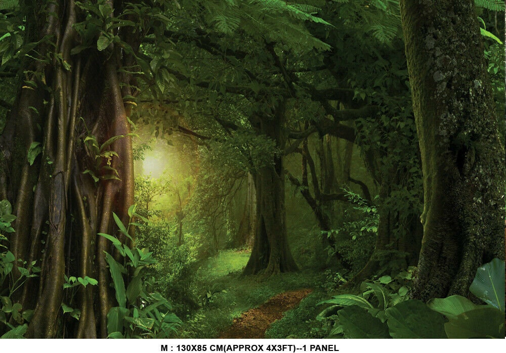 Trees Sunlight Jungle Forest Plants Nature Wallpaper Mural Photo Room ...