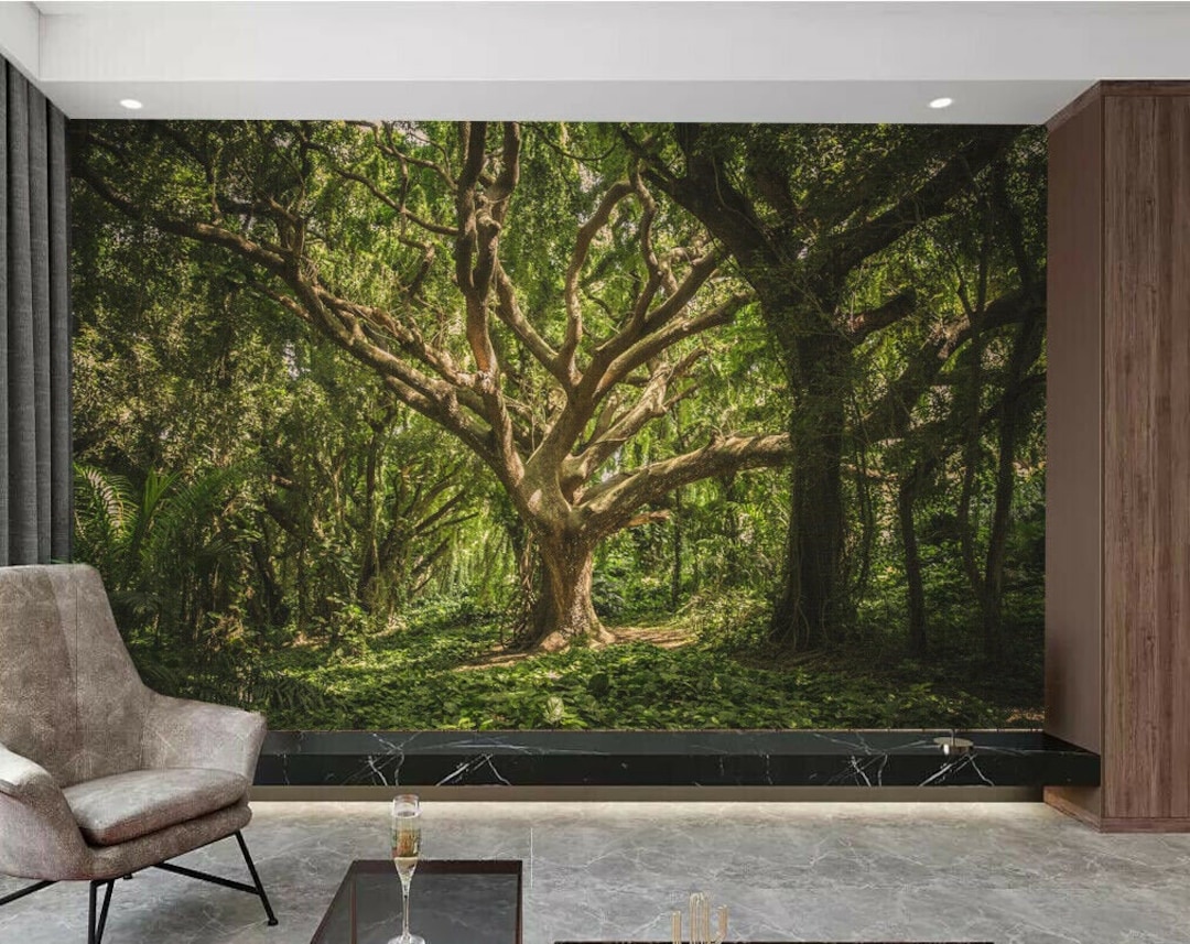 Tree Path Nature Light Park Forest Way Bucolic Wallpaper Mural Photo ...