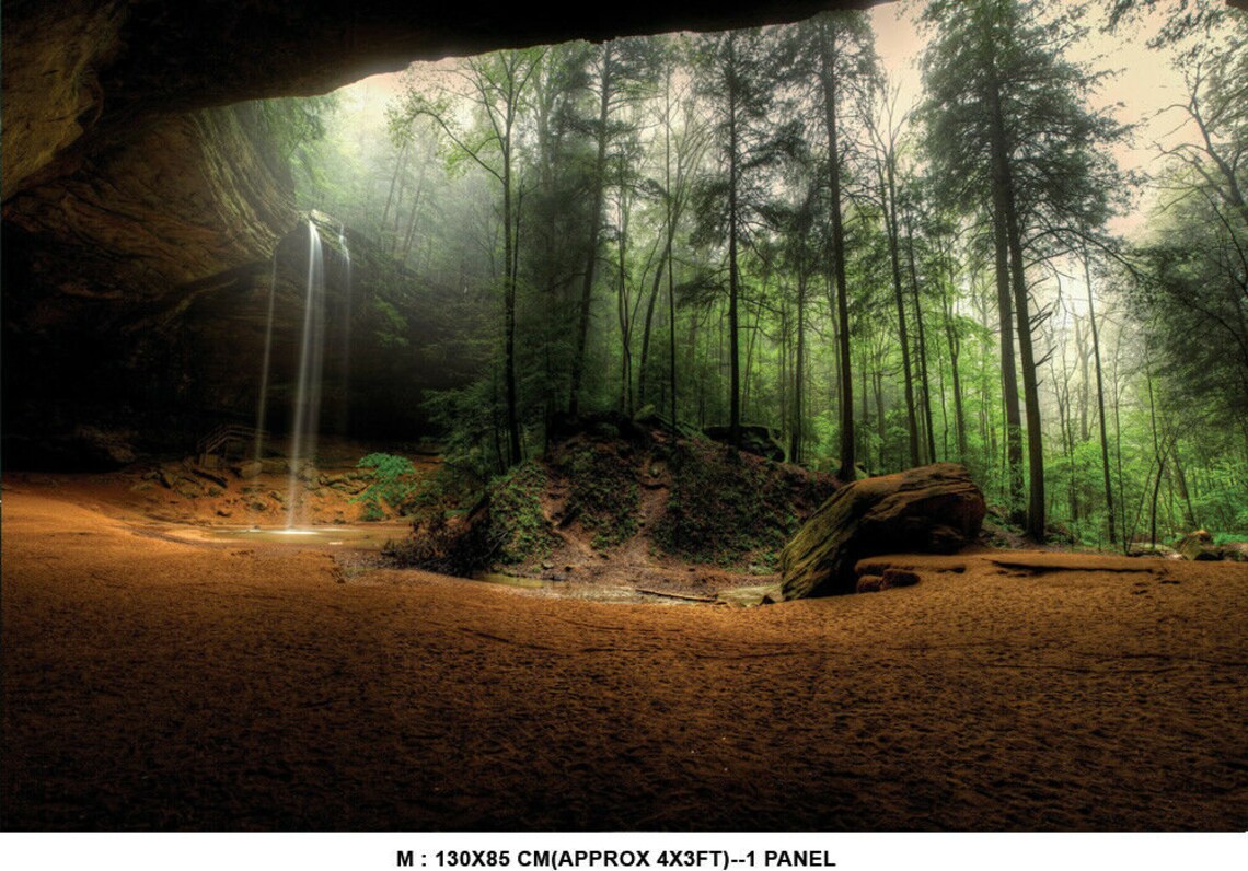 Trees Cave Waterfall Forest Rock Plants Nature Wallpaper Mural Photo ...
