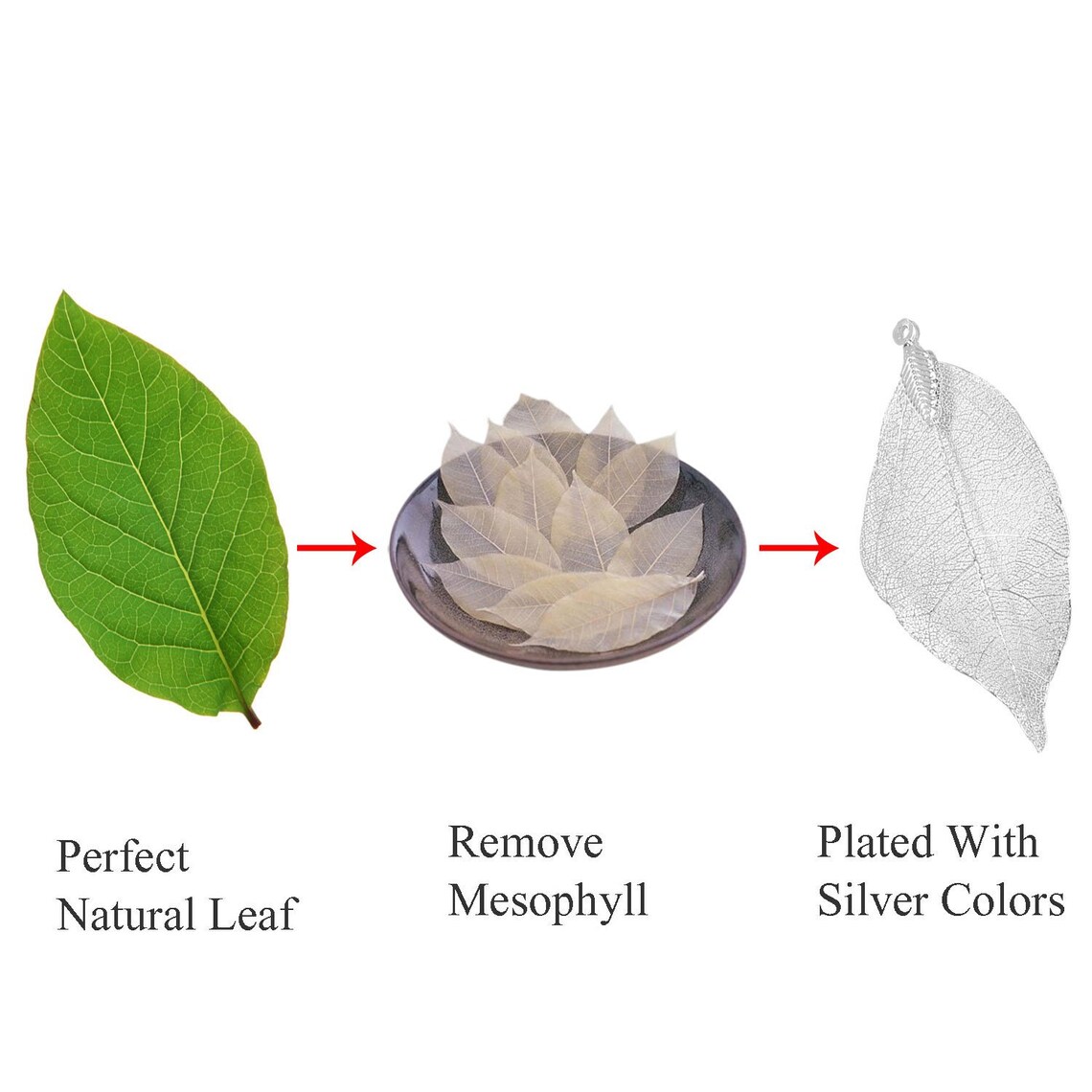 6PCS Real Natural Leaf Pendant Silver Plated Brass Natural - Etsy