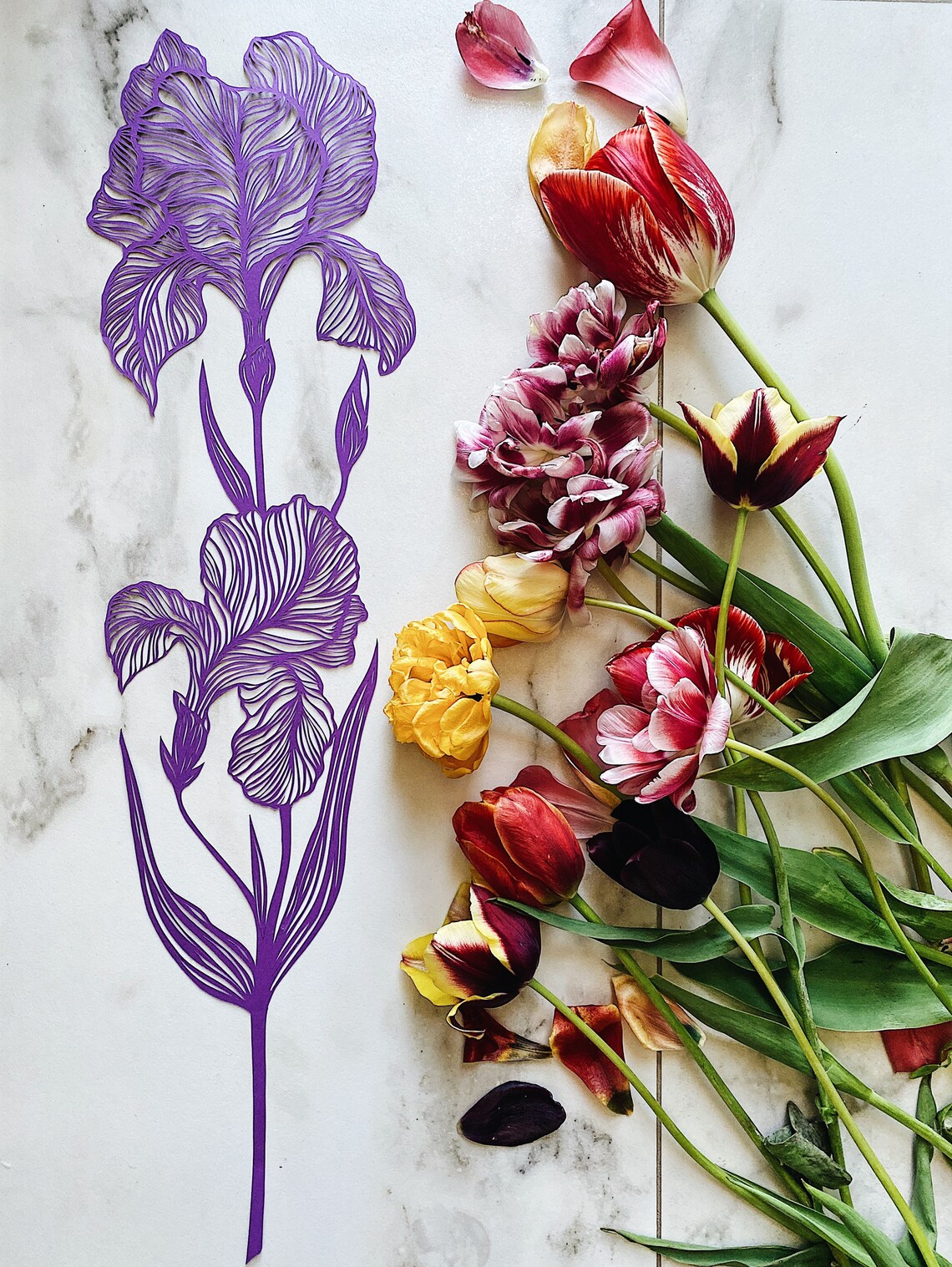 Paper Cutting Art Work irises Hand Cut Paper Art - Etsy