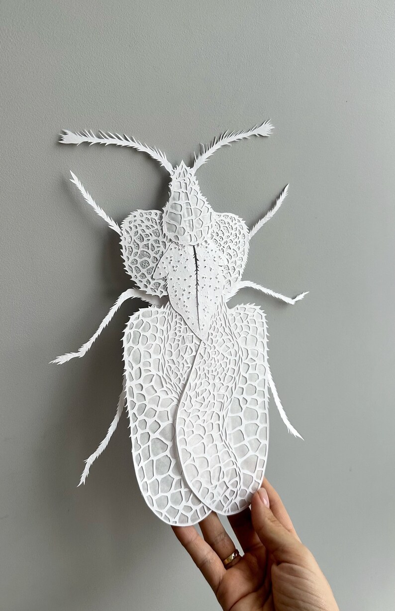 Art Collage, Paper Cutting , Bug Silhouette With Tracing Paper ,bug ...