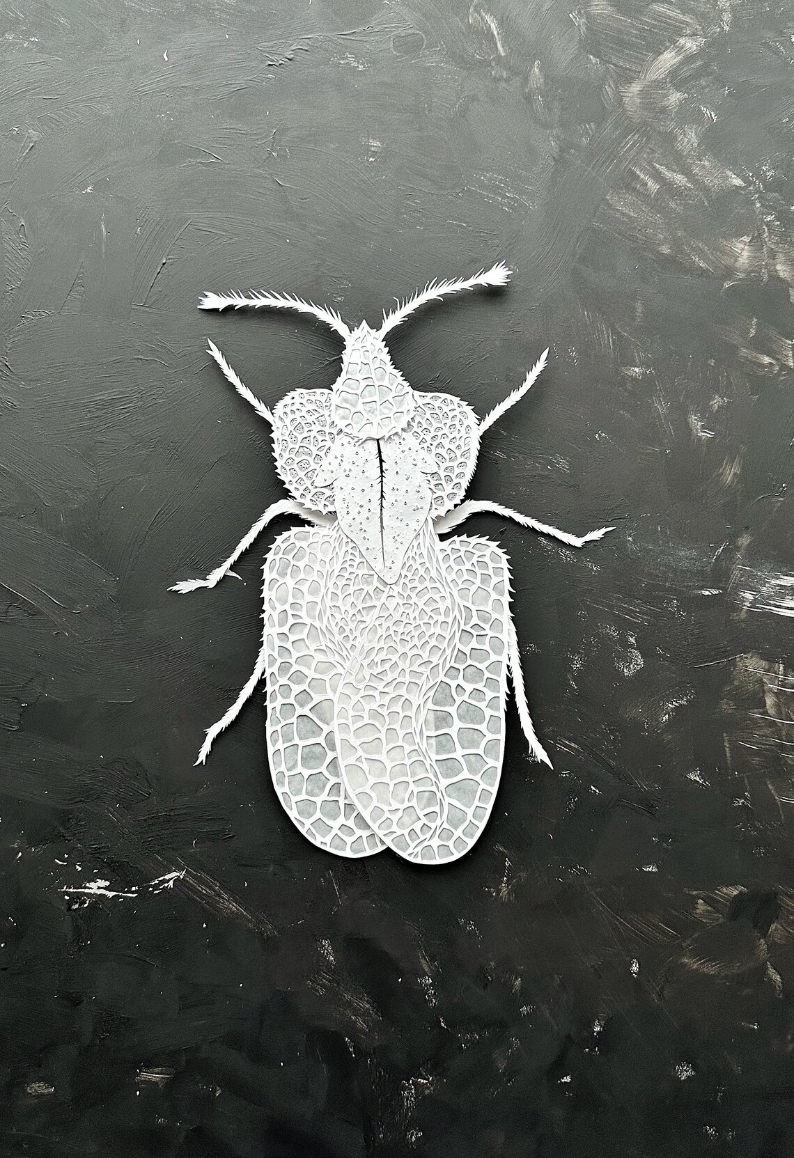 Art Collage, Paper Cutting , Bug Silhouette With Tracing Paper ,bug ...