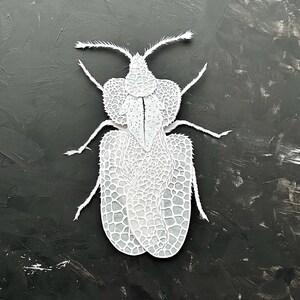 Art Collage, Paper Cutting , Bug Silhouette With Tracing Paper ,"bug ...