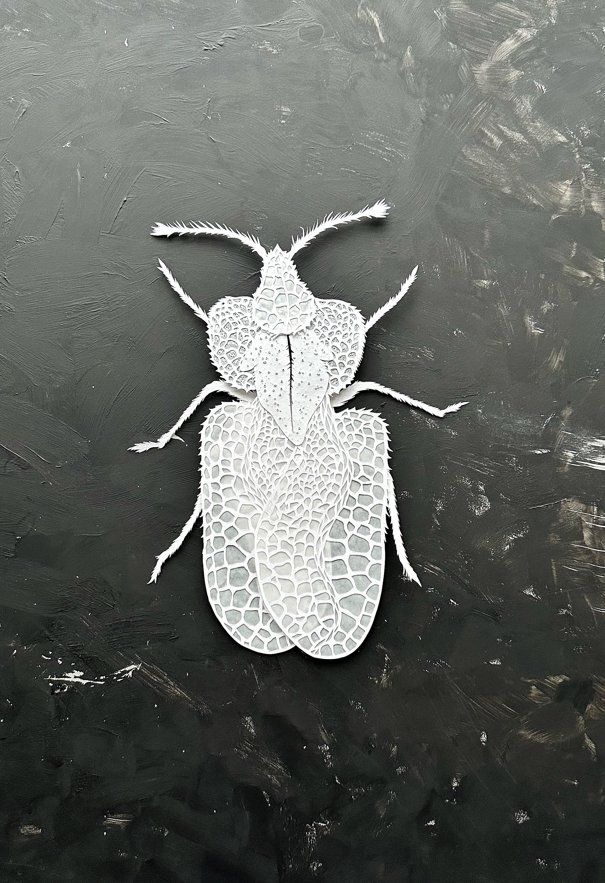 Art Collage, Paper Cutting , Bug Silhouette With Tracing Paper ,bug ...