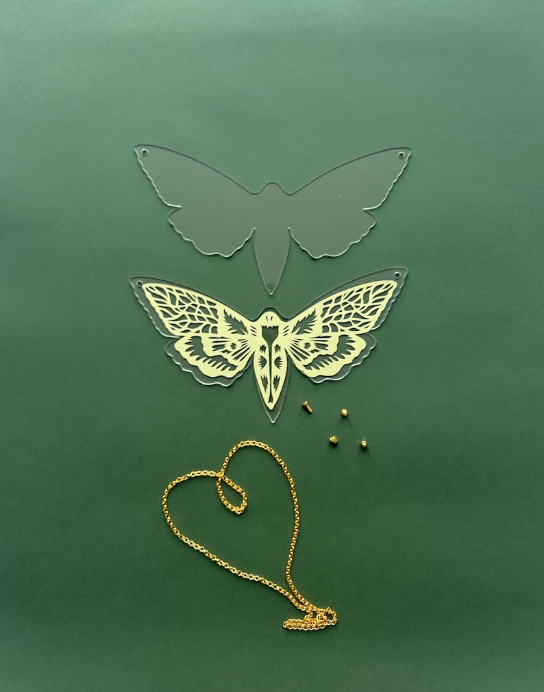 Paper Cutting Masterclass, Hand Cut Moth Tutorial, DIY Papercut Art ...