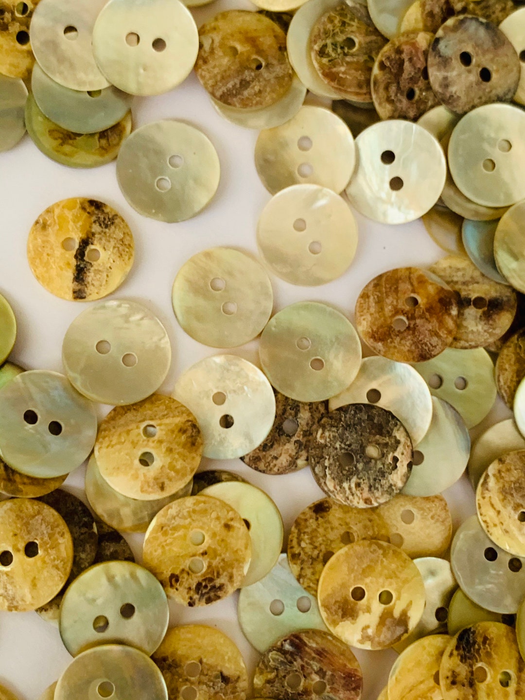 Pack-13mm Shell Button MOP Buttons Two Hole Buttons Agoya - Etsy