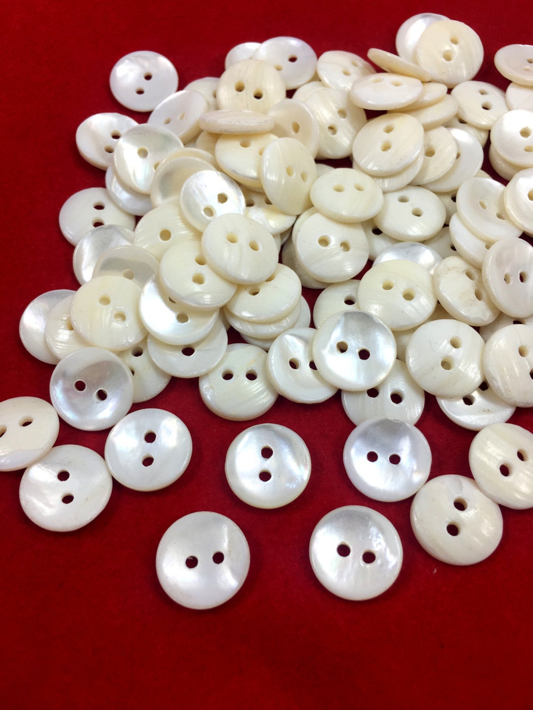120 Natural River Shell Buttons Shell Button White MOP Shell Button ...
