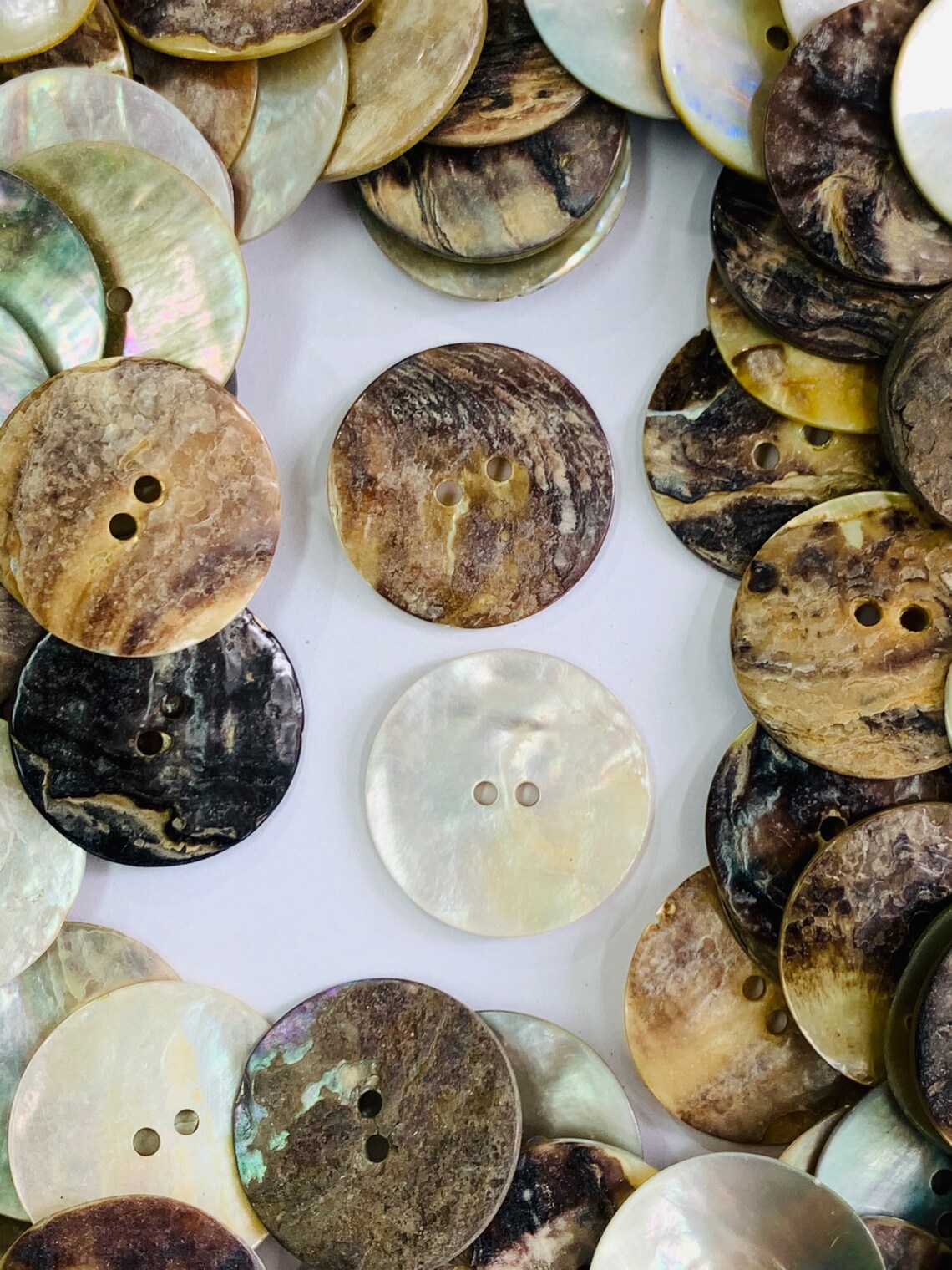 12 Pcs Giant Sea Shell Buttons Very Big Shell Button Rainbow | Etsy