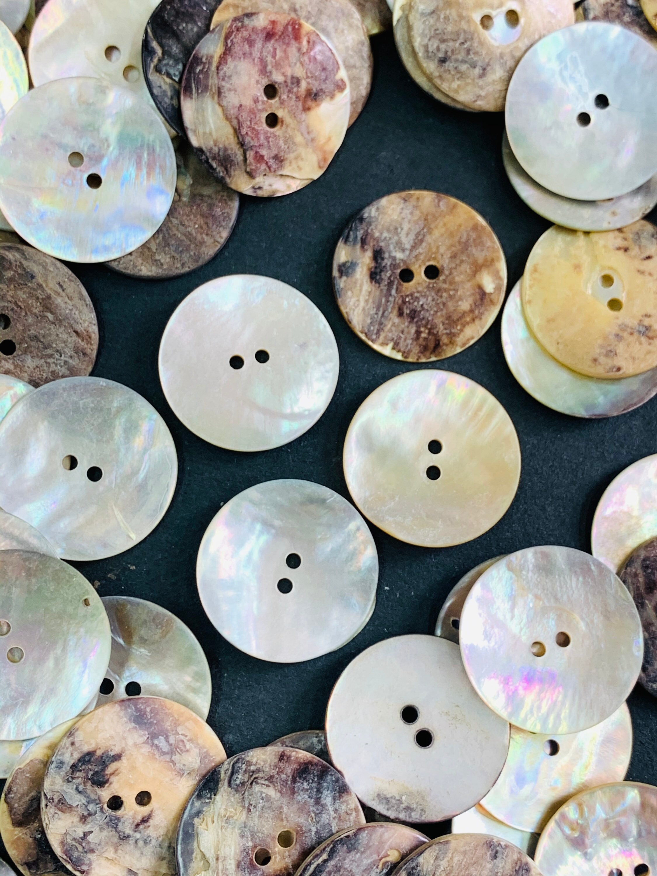 12 Giant Sea Shell Buttons Very Big Shell Button Rainbow | Etsy