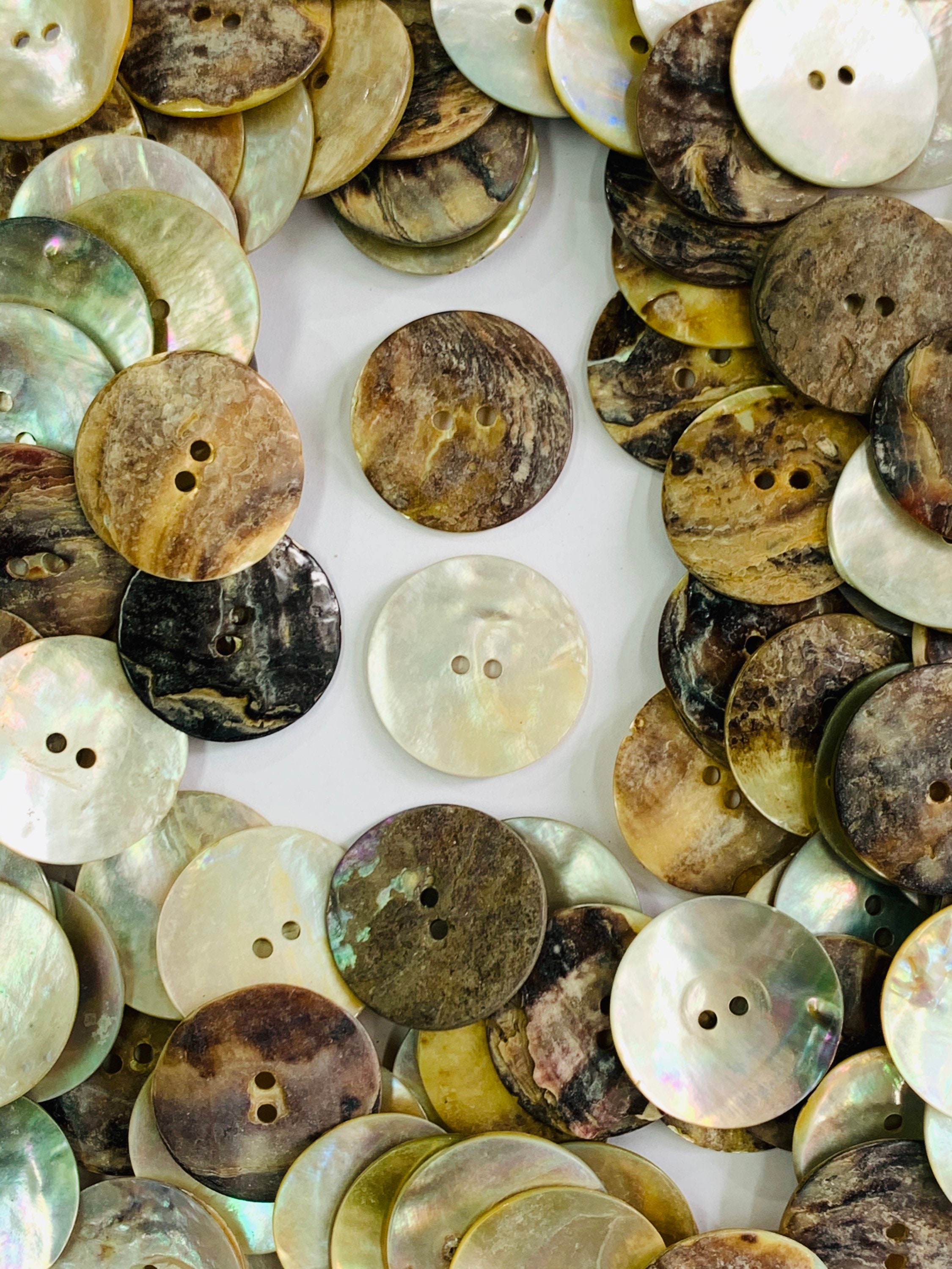 12 Giant Sea Shell Buttons Very Big Shell Button Rainbow | Etsy