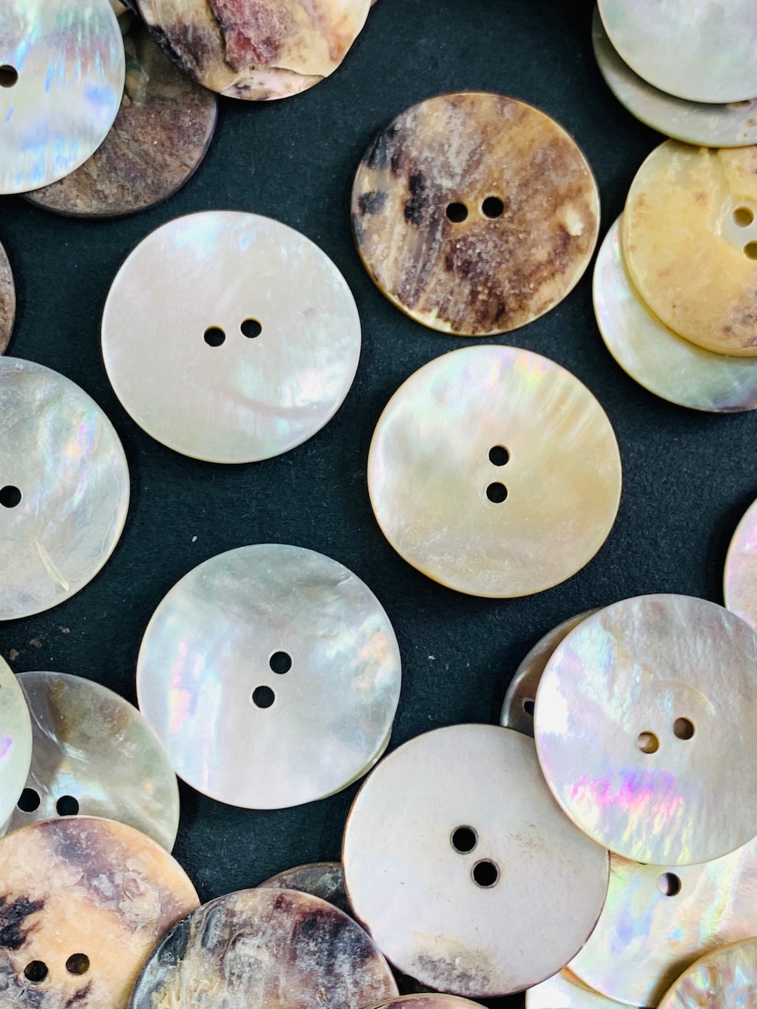 12 Giant Sea Shell Buttons Very Big Shell Button Rainbow Shell Button ...
