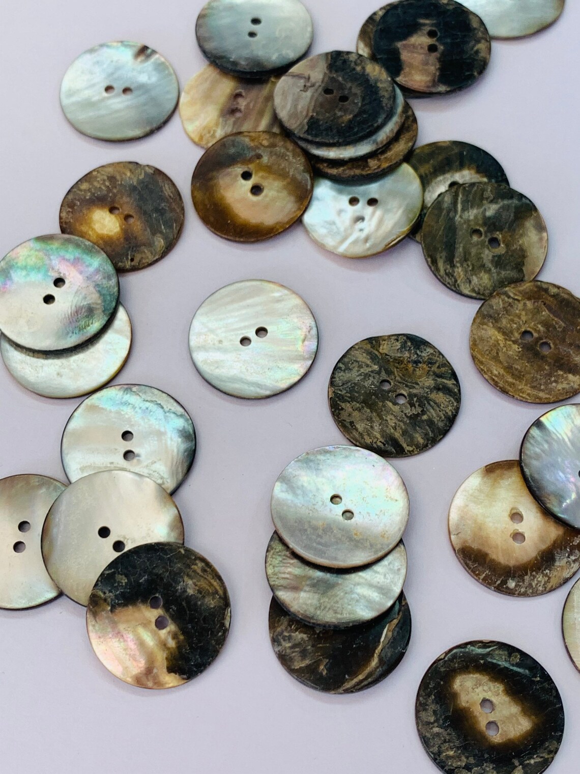12 Pcs Giant Sea Shell Buttons Very Big Shell Button Premium | Etsy