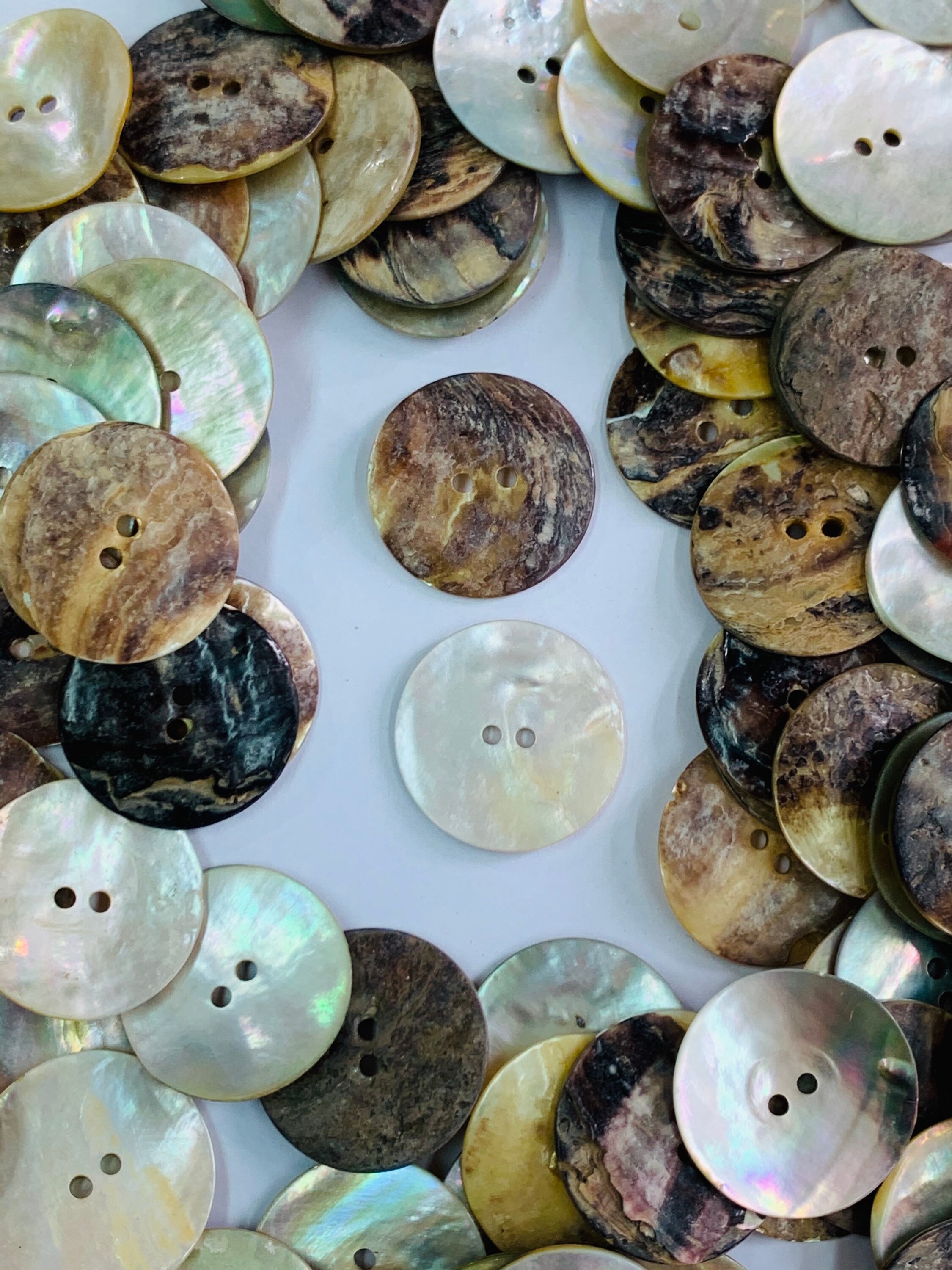 12 Giant Sea Shell Buttons Very Big Shell Button Rainbow | Etsy