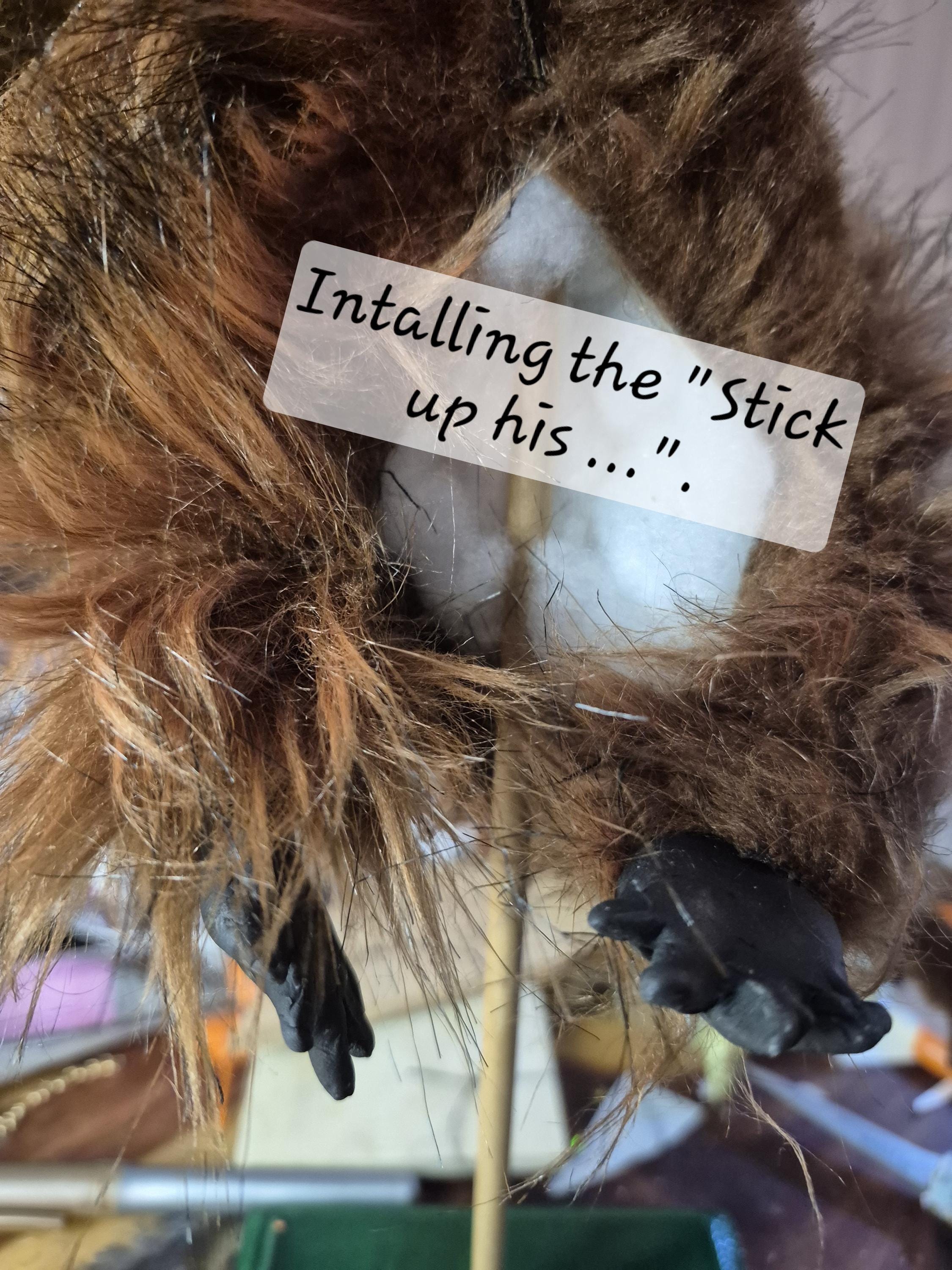 Elon Musk Rat Faux Taxidermy Mount - Etsy