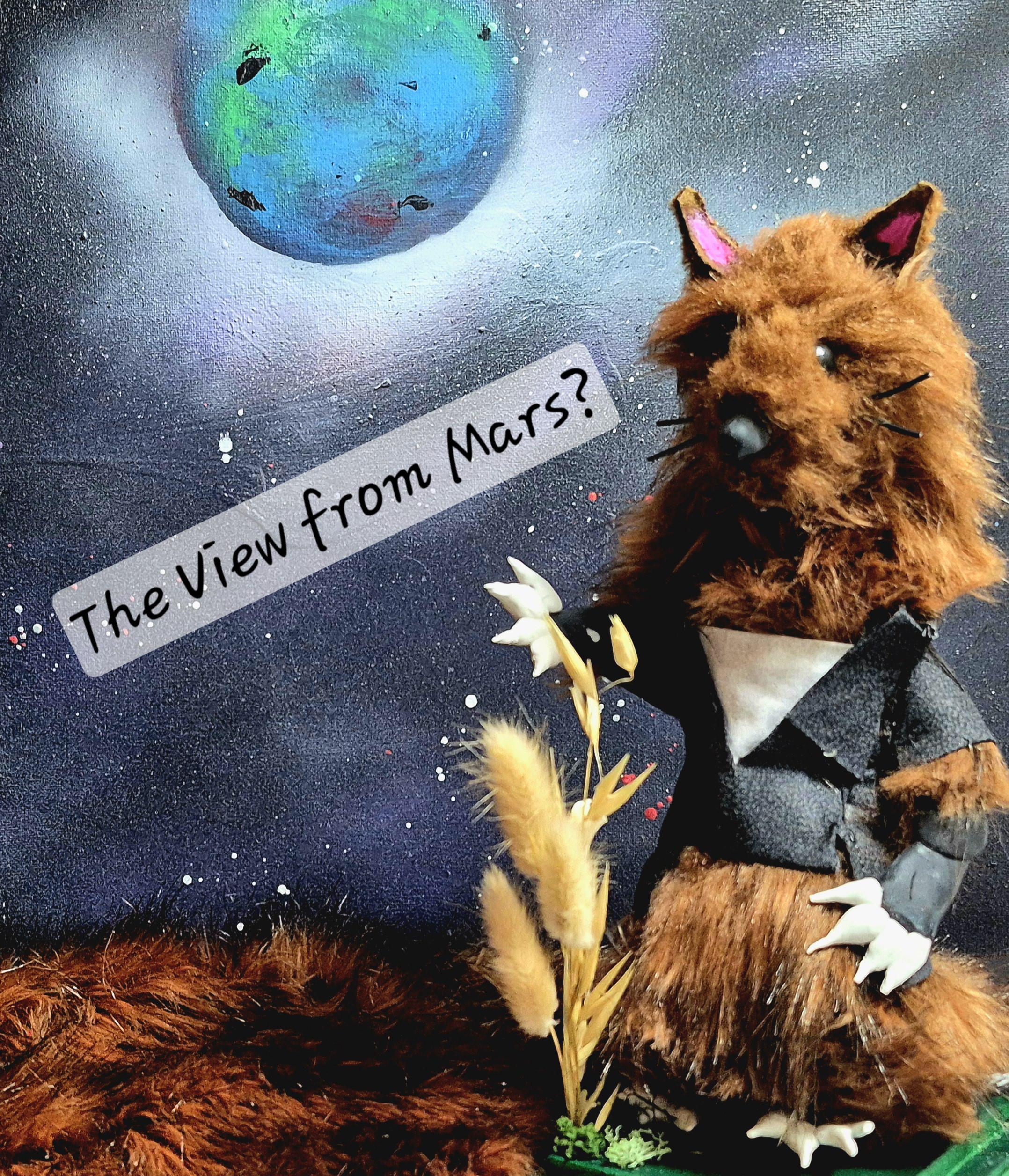 Elon Musk Rat Faux Taxidermy Mount - Etsy