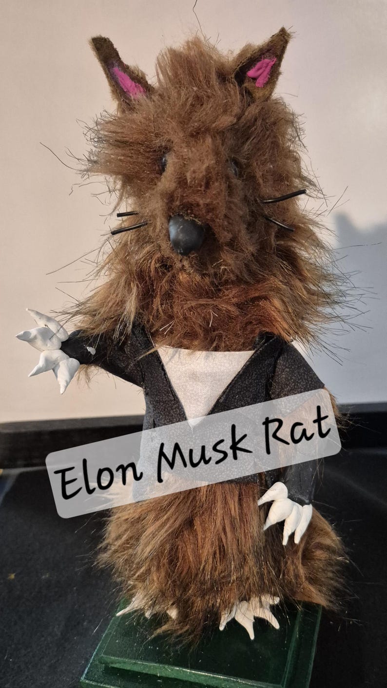 Elon Musk Rat Faux Taxidermy Mount - Etsy