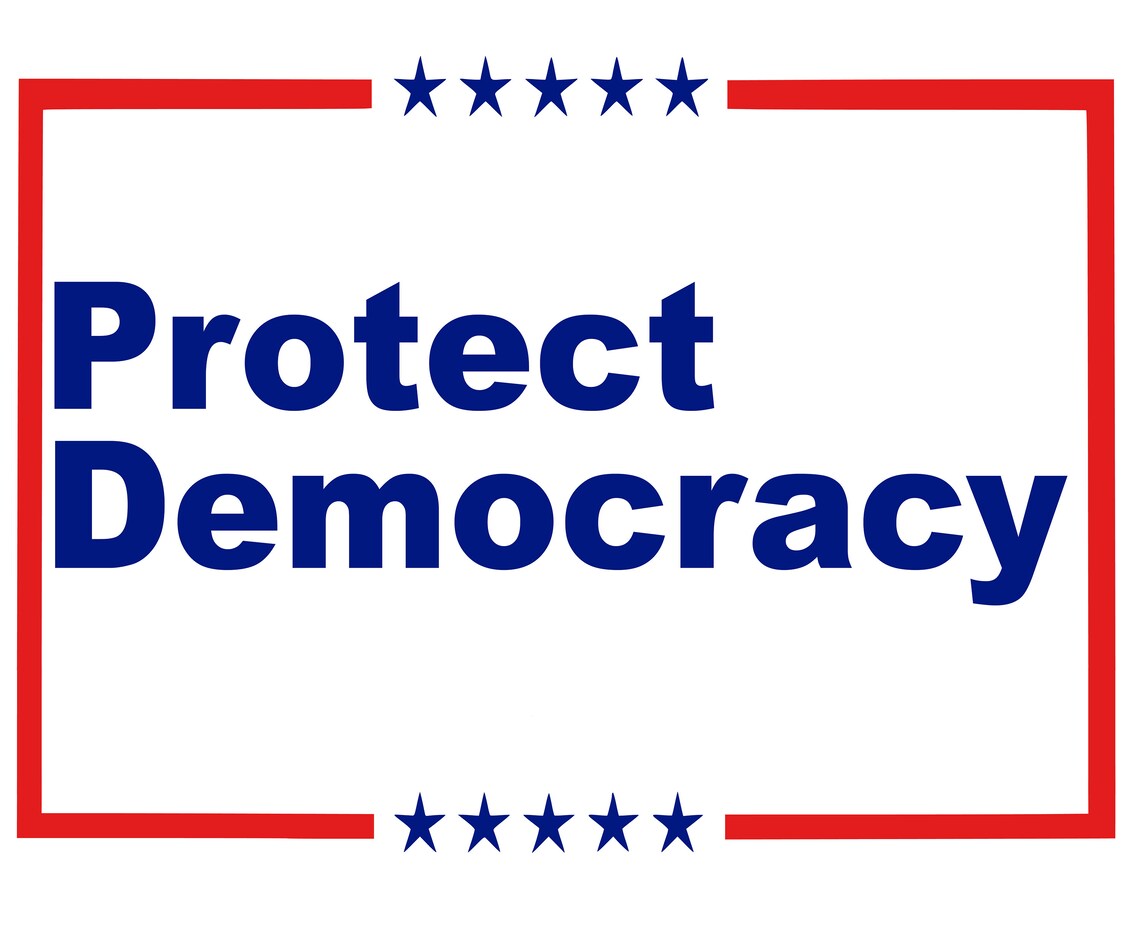 Protect Democracy Political Sign Democrat, Republican 18"x22" US Flag ...