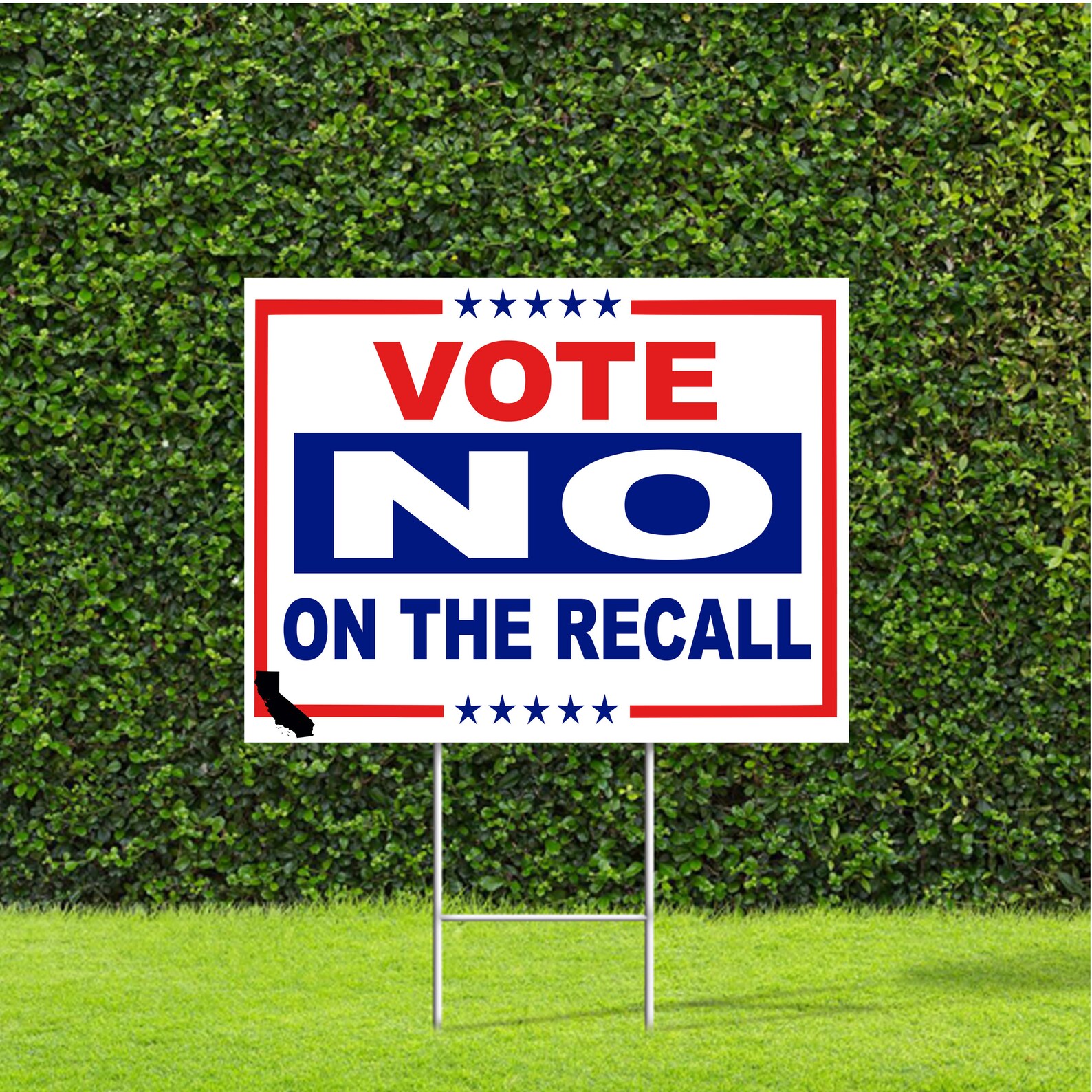 Vote NO on the Recall Yard Sign Metal Stake is Included We | Etsy