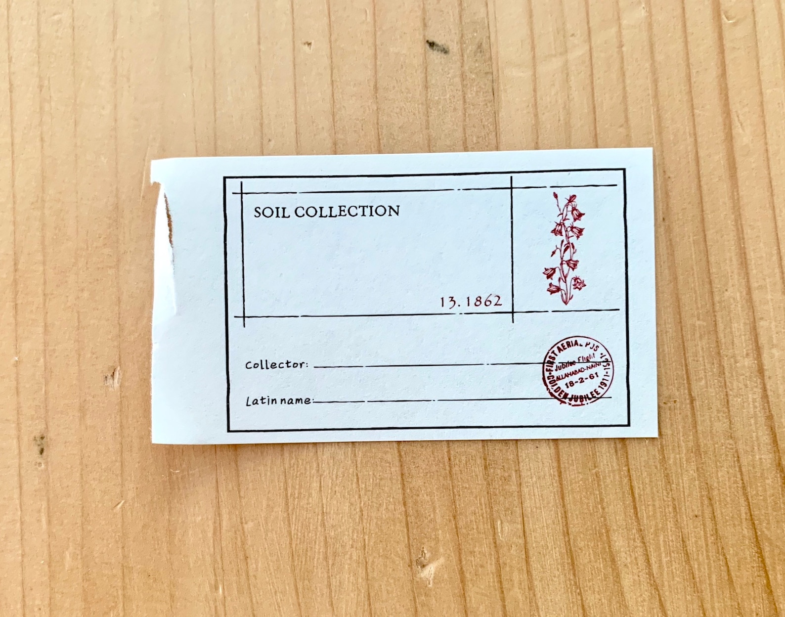 Botanical Ephemera Set. 100 Pieces of Assorted MINI Field - Etsy