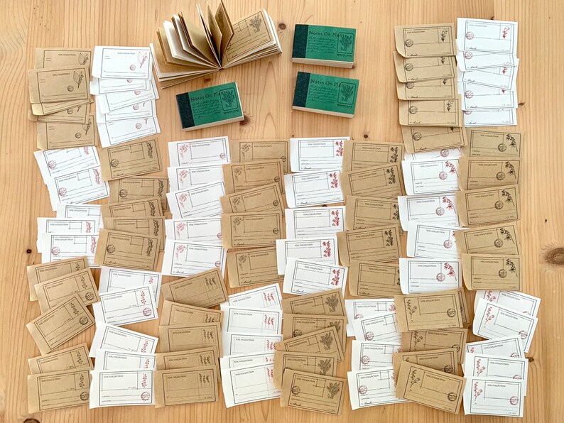 Botanical Ephemera Set. 100 Pieces of Assorted MINI Field - Etsy