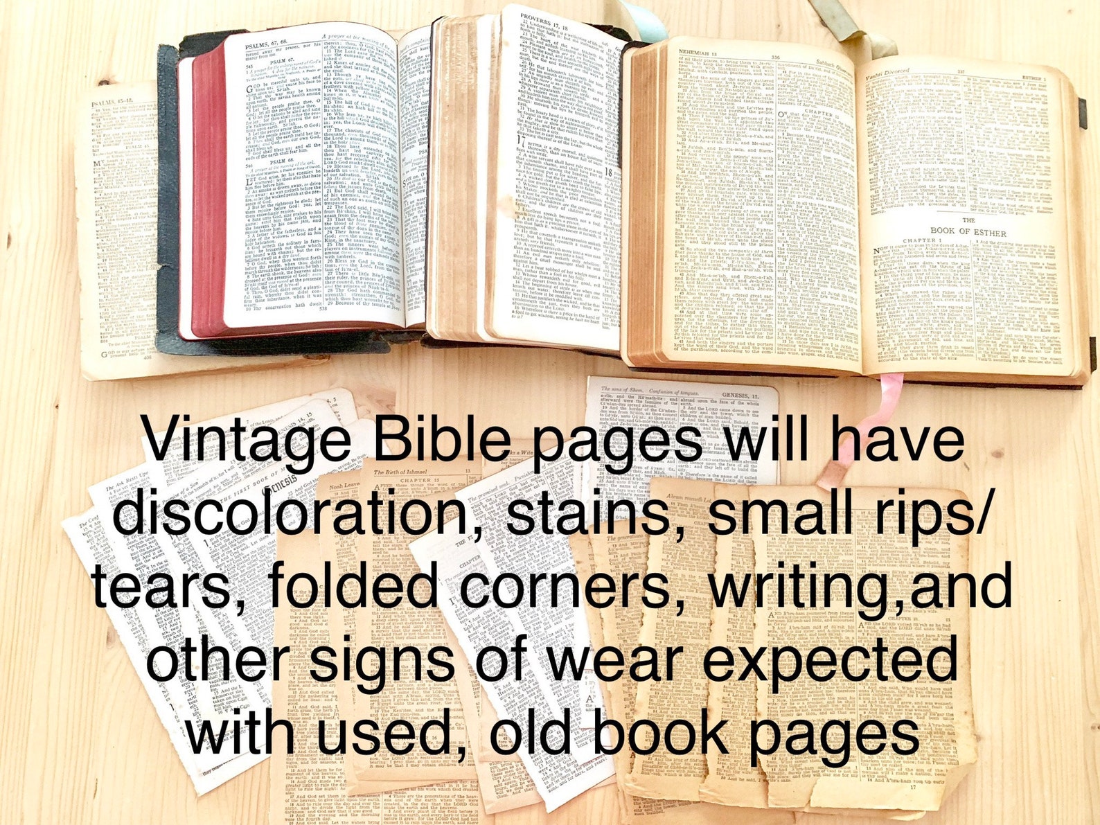 Vintage Bible Pages. Set of 20 Old Book Pages From Bibles. | Etsy