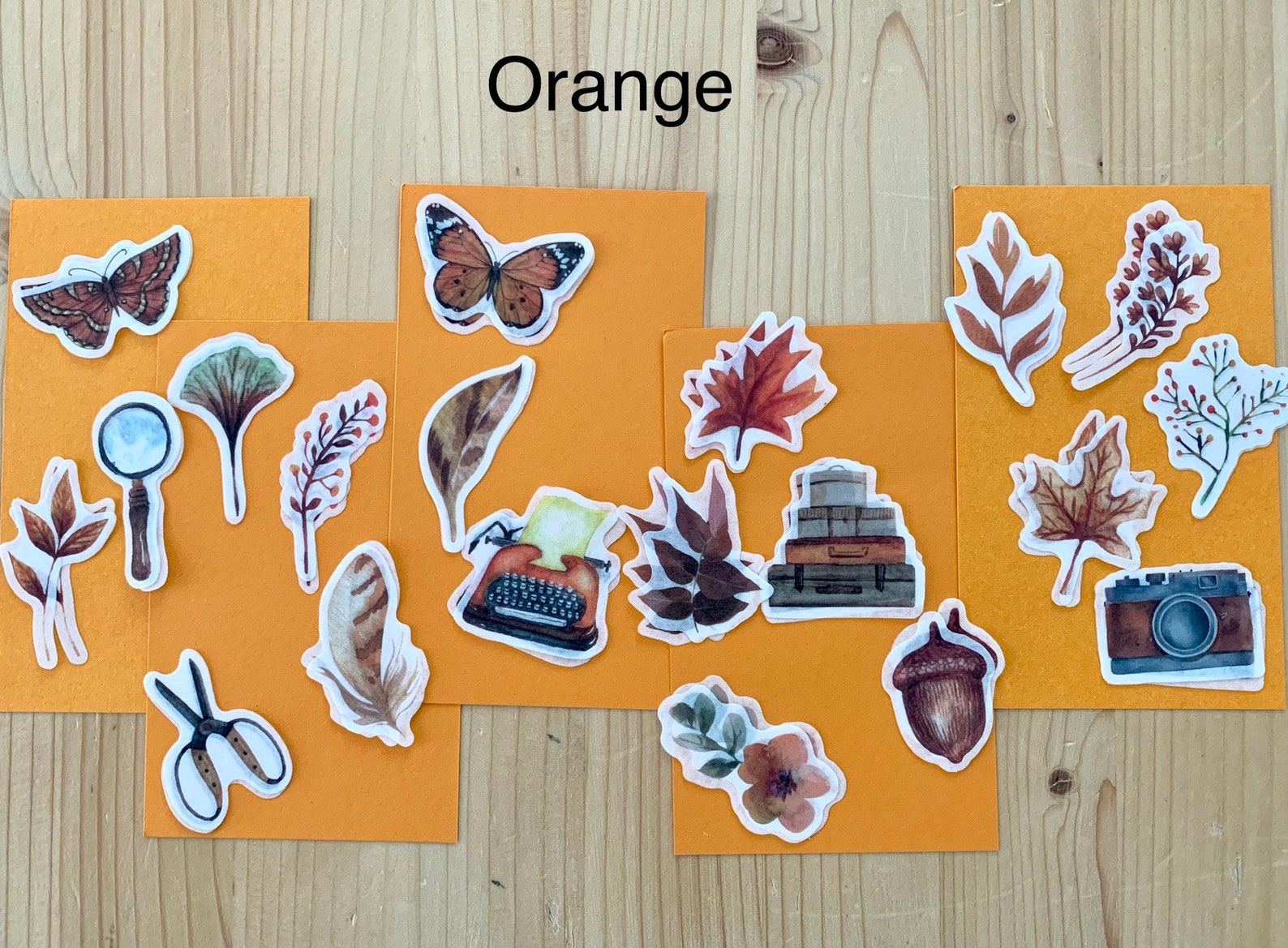 Nature Journal Stickers. Ephemera. Set of 40 Vellum Washi | Etsy